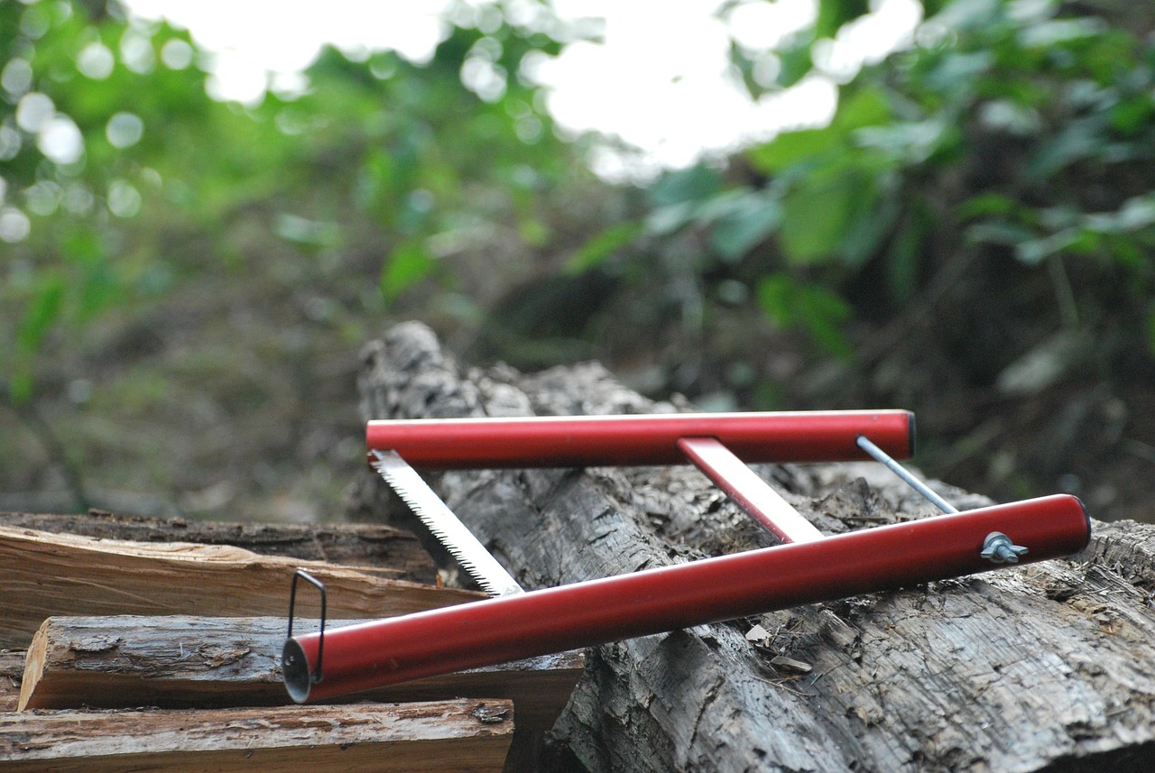 8 Types of Hand Saws Every Woodworker Should Know - Tool Croze