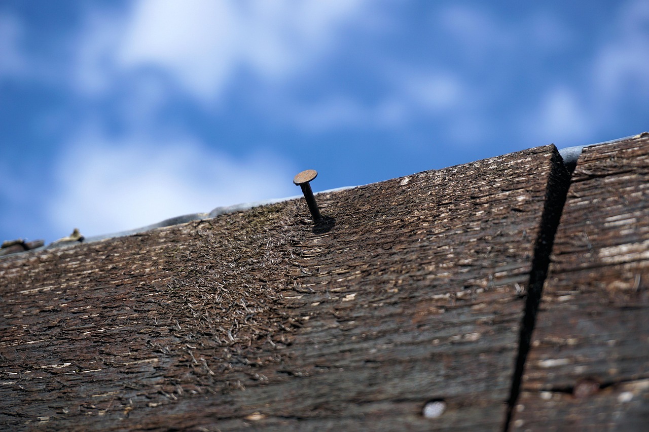 11 Types of Wood Fasteners Every DIYer Should Know - Tool Croze